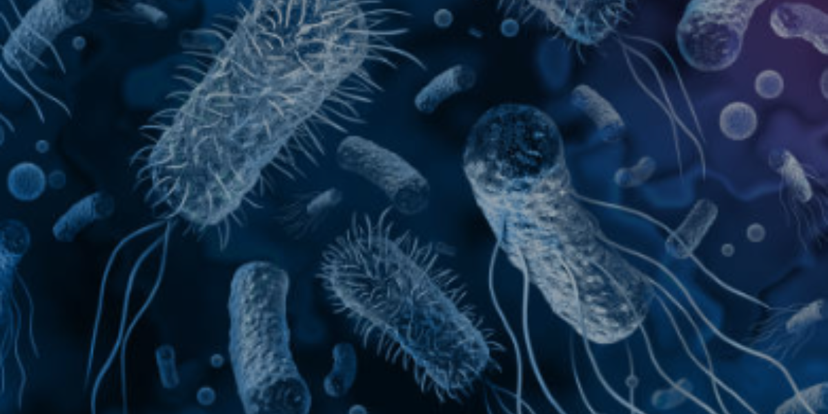 Diagnóstico y claves para el control y prevención de la salmonelosis en ...